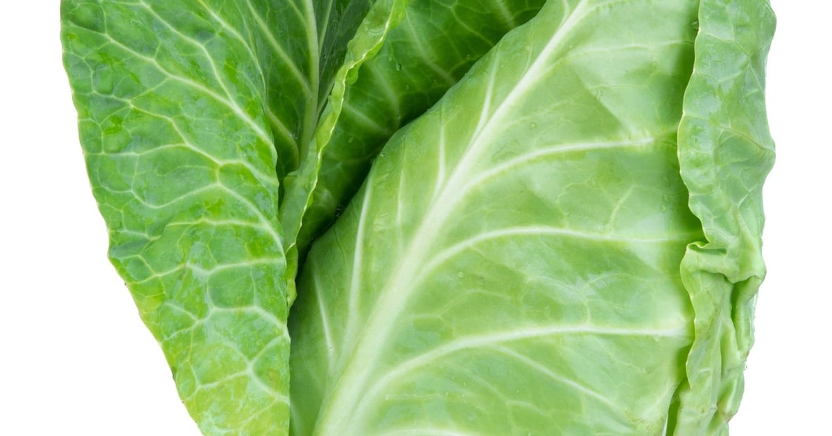 BIO Spitzkraut