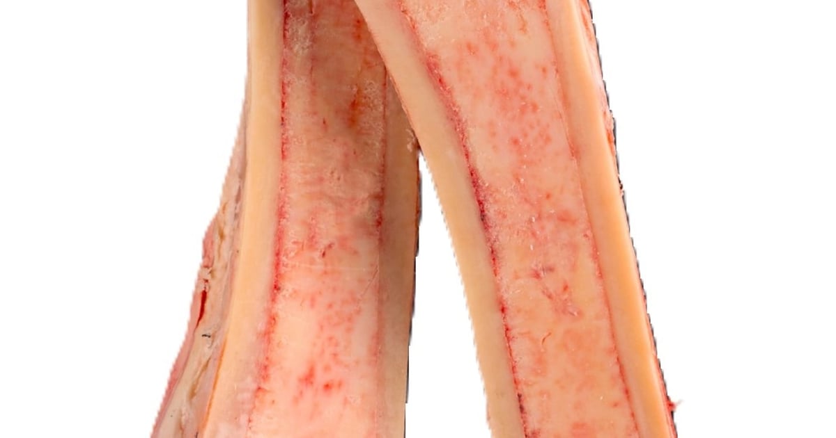 XO Beef Markknochen längs geschnitten (tiefgekühlt)