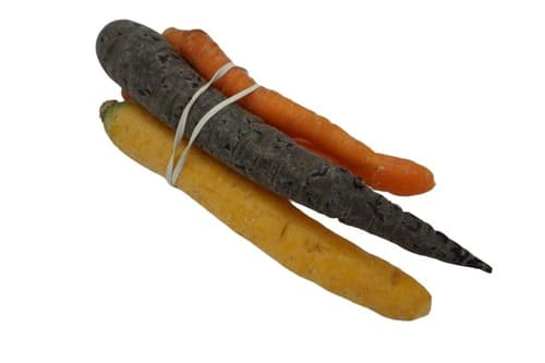 BIO Karotten, bunt