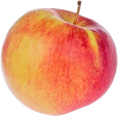 Apfel Idared