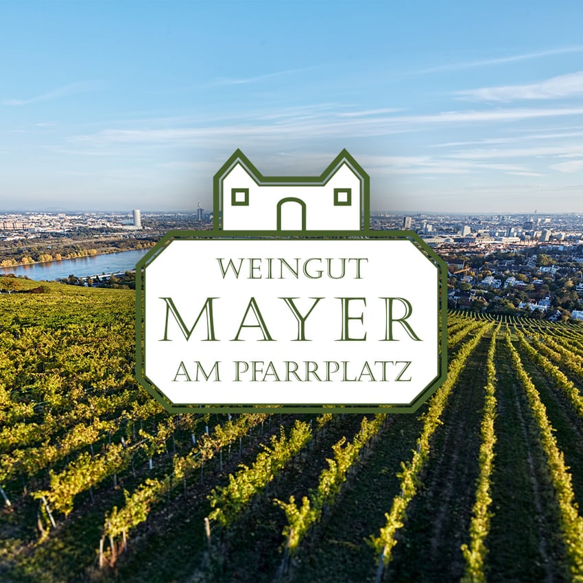 Weingut Mayer am Pfarrplatz Das prickelnde Fräulein Rosé